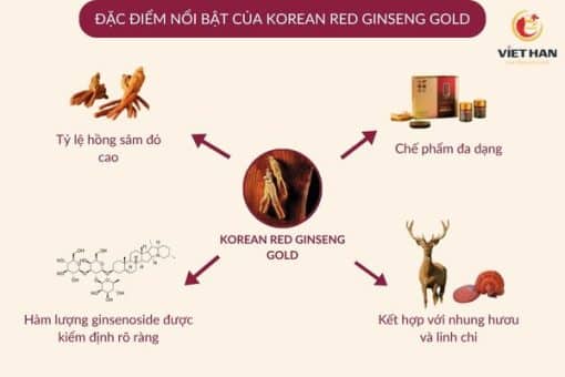 Korean Red Ginseng Gold: Khác biệt gì với hồng sâm thường?
